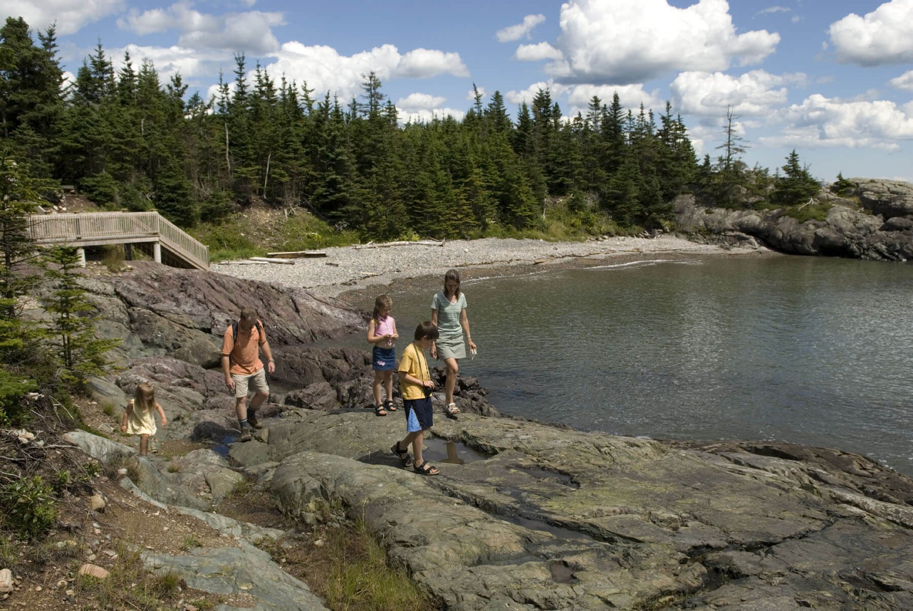 Explore the Irving Nature Park | Discover Saint John
