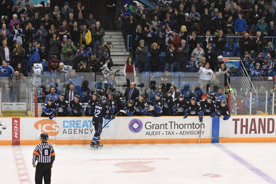 Cheer for Saint John Sea Dogs Hockey | Discover Saint John