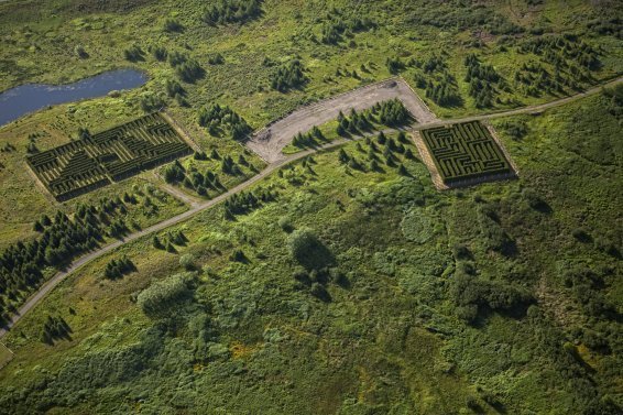 Irving Nature Park | Discover Saint John